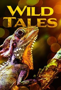 Wild Tales | Rotten Tomatoes