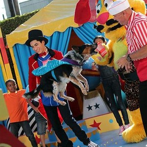 Mutt & Stuff: Season 1, Episode 2 - Rotten Tomatoes