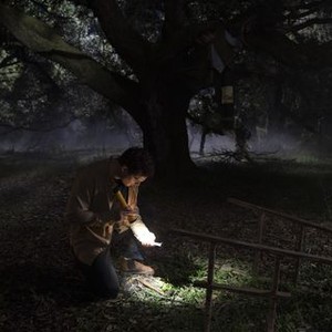 The Visitor - Rotten Tomatoes