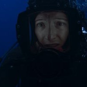 The Dive - Rotten Tomatoes