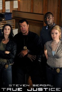 True Justice | Rotten Tomatoes