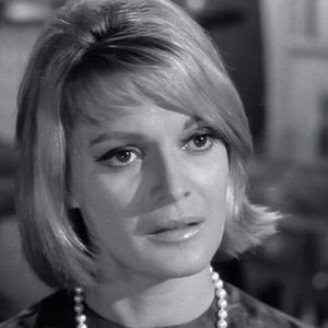 Perry Mason: Season 7, Episode 14 - Rotten Tomatoes