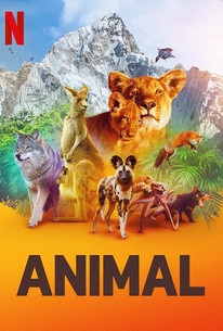 Animal: Season 1 | Rotten Tomatoes