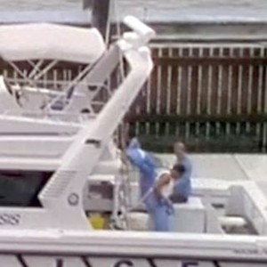 Water Rats: Season 1, Episode 8 - Rotten Tomatoes