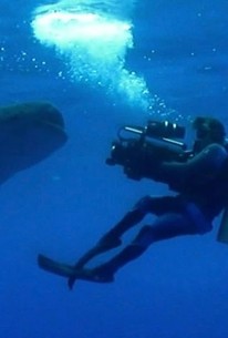 Great Migrations: Season 1, Episode 6 | Rotten Tomatoes