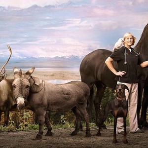 Dr. Dee: Alaska Vet - Rotten Tomatoes