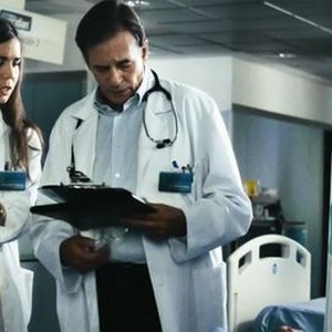 Human Test - Rotten Tomatoes