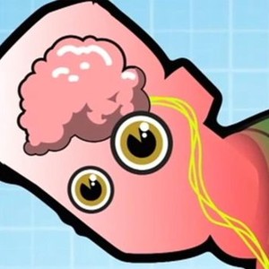 Operation Ouch!: Season 1, Episode 4 - Rotten Tomatoes