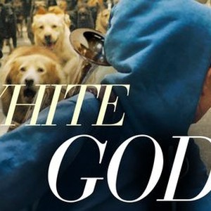 White God - Rotten Tomatoes