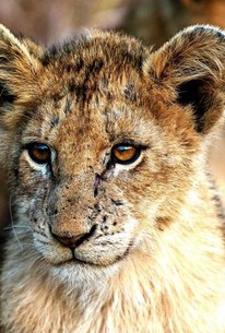 Growing Up Animal: Season 1, Episode 6 | Rotten Tomatoes