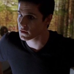 The Lost - Rotten Tomatoes