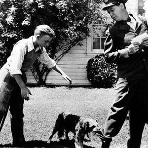 Eddie Acuff - Rotten Tomatoes