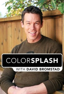 Color Splash: Season 1 | Rotten Tomatoes