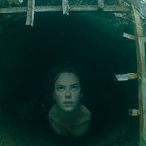 Crawl - Rotten Tomatoes