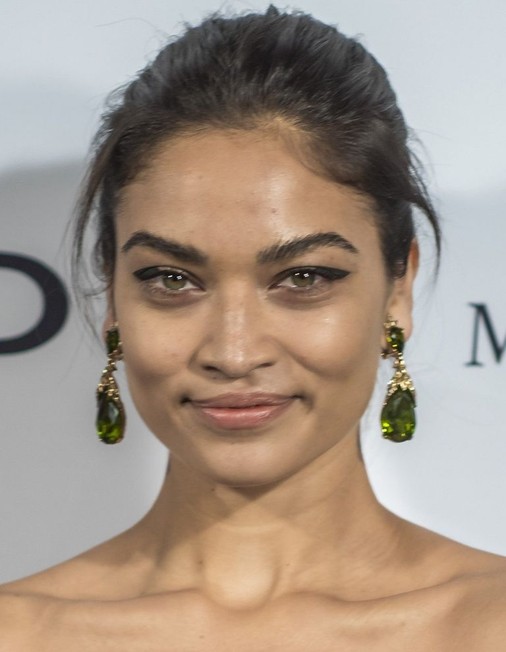 Shanina Shaik - Rotten Tomatoes