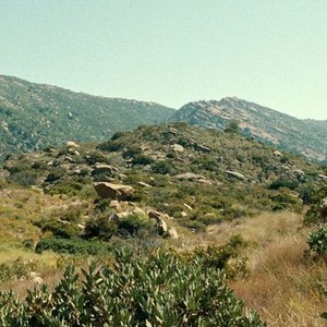 Beef: Season 1, Episode 10 - Rotten Tomatoes