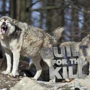 Built for the Kill: Season 5, Episode 2 - Rotten Tomatoes