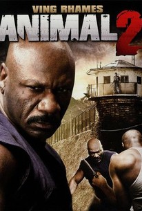 Animal 2 | Rotten Tomatoes