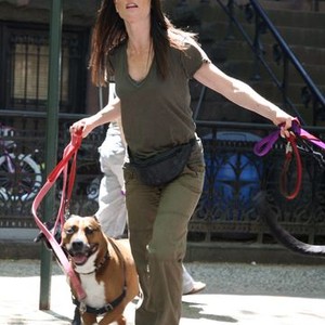 See Girl Run - Rotten Tomatoes