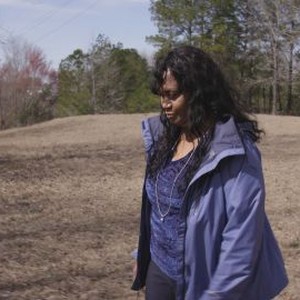 Free Renty: Lanier v. Harvard - Rotten Tomatoes