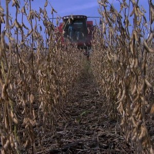 Food, Inc. - Rotten Tomatoes