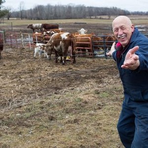 Dr. Jan Pol - Rotten Tomatoes