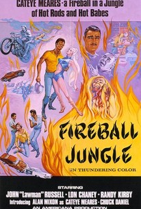 Fireball Jungle | Rotten Tomatoes