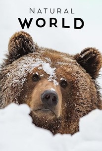 Natural World | Rotten Tomatoes