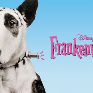 Frankenweenie - Rotten Tomatoes