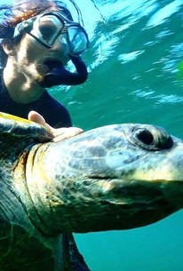 Galapagos: Season 1, Episode 3 | Rotten Tomatoes