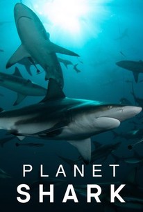 Planet Shark | Rotten Tomatoes