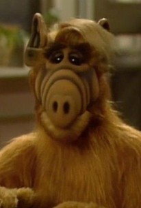 ALF: Season 4, Episode 10 - Rotten Tomatoes