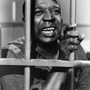 John McCurry - Rotten Tomatoes