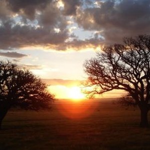 Silent Light - Rotten Tomatoes