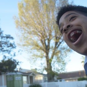 Ham on Rye - Rotten Tomatoes