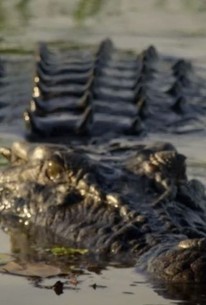 Most Extreme Alien Planet Earth: Season 1, Episode 6 | Rotten Tomatoes