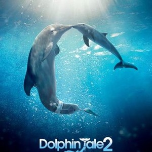 Dolphin Tale 2 (2014) - Rotten Tomatoes