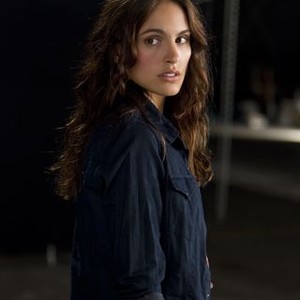 The Cold Light of Day - Rotten Tomatoes