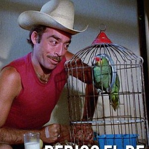 Perico el de los Palotes - Rotten Tomatoes