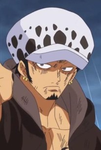 One Piece: Season 17, Episode 80 | Rotten Tomatoes