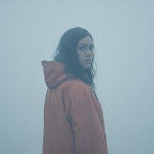 Stray - Rotten Tomatoes