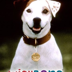 Wishbone - Rotten Tomatoes