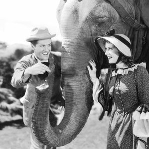 June Martel - Rotten Tomatoes