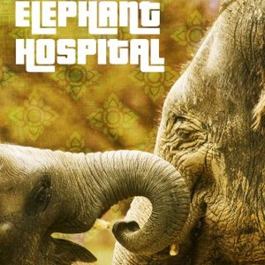Elephant Hospital - Rotten Tomatoes