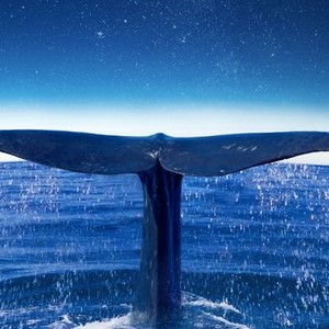 Whale Nation - Rotten Tomatoes