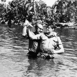 Gregory Gaye - Rotten Tomatoes