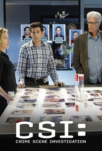 CSI: Crime Scene Investigation: Season 12 | Rotten Tomatoes