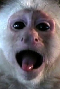 Bad Dog!: Season 1, Episode 2 | Rotten Tomatoes