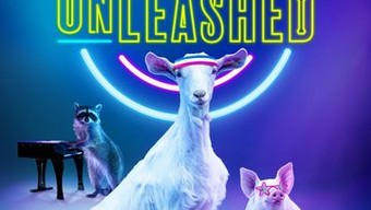 Unleashed - Rotten Tomatoes