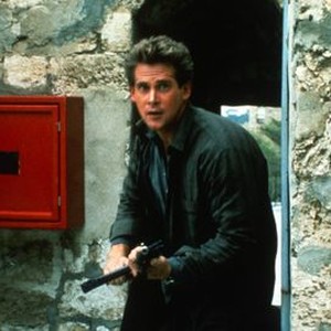 The Human Shield - Rotten Tomatoes